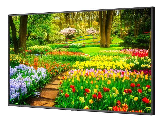 NEC MultiSync M491-MPi4E Black 49" 3840 x 2160 (4K) 1.07 Billion Colors IPS Display - Newegg.com