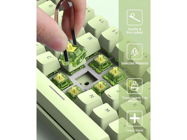 MAGIC-REFINER Diced Fruit Kiwi Switches, 3 Pin 50gf Tactile Switch Set ...