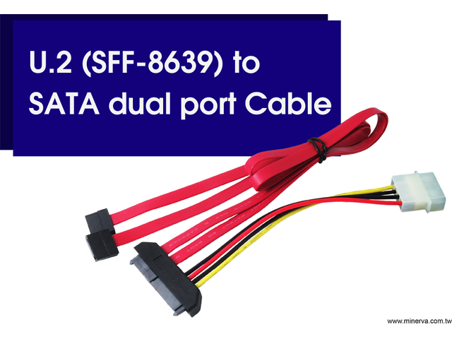 SATA Express to SATA dual port cable - Newegg.com