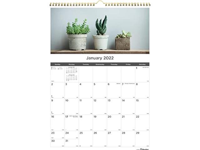 Blueline 2022 Colorful Monthly Wall Calendar, 12 Months, January To ...