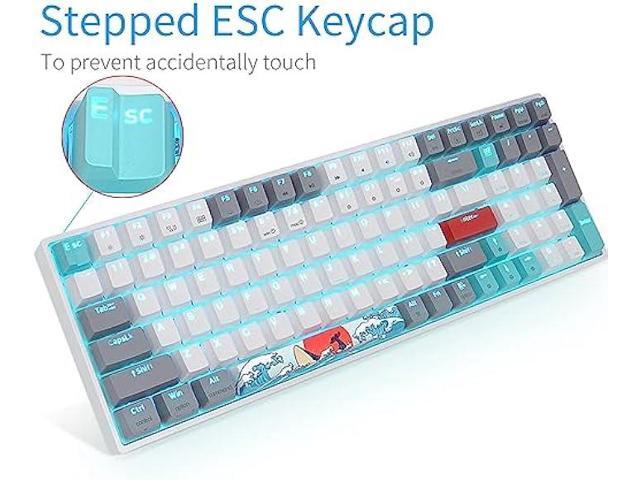 SKYLOONG SK96 Full Size Gaming Keyboard, Hot Swappable USB-C Wired ...