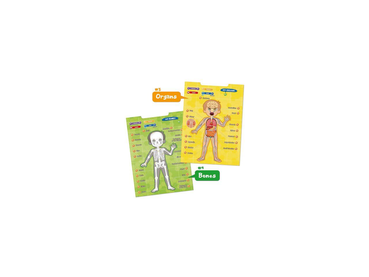 Human Body Learning Poster My Body Interactive Learning Poster - 16x22 ...