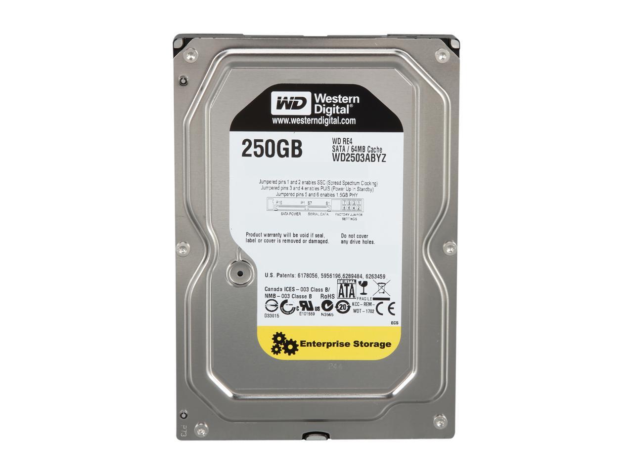 WD Re 250GB Datacenter Capacity Hard Disk Drive - 7200 RPM Class SATA ...