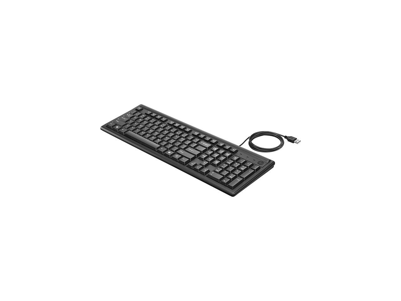 HP Keyboard 100 2UN30AA#ABL Black Wired Keyboard - Newegg.ca