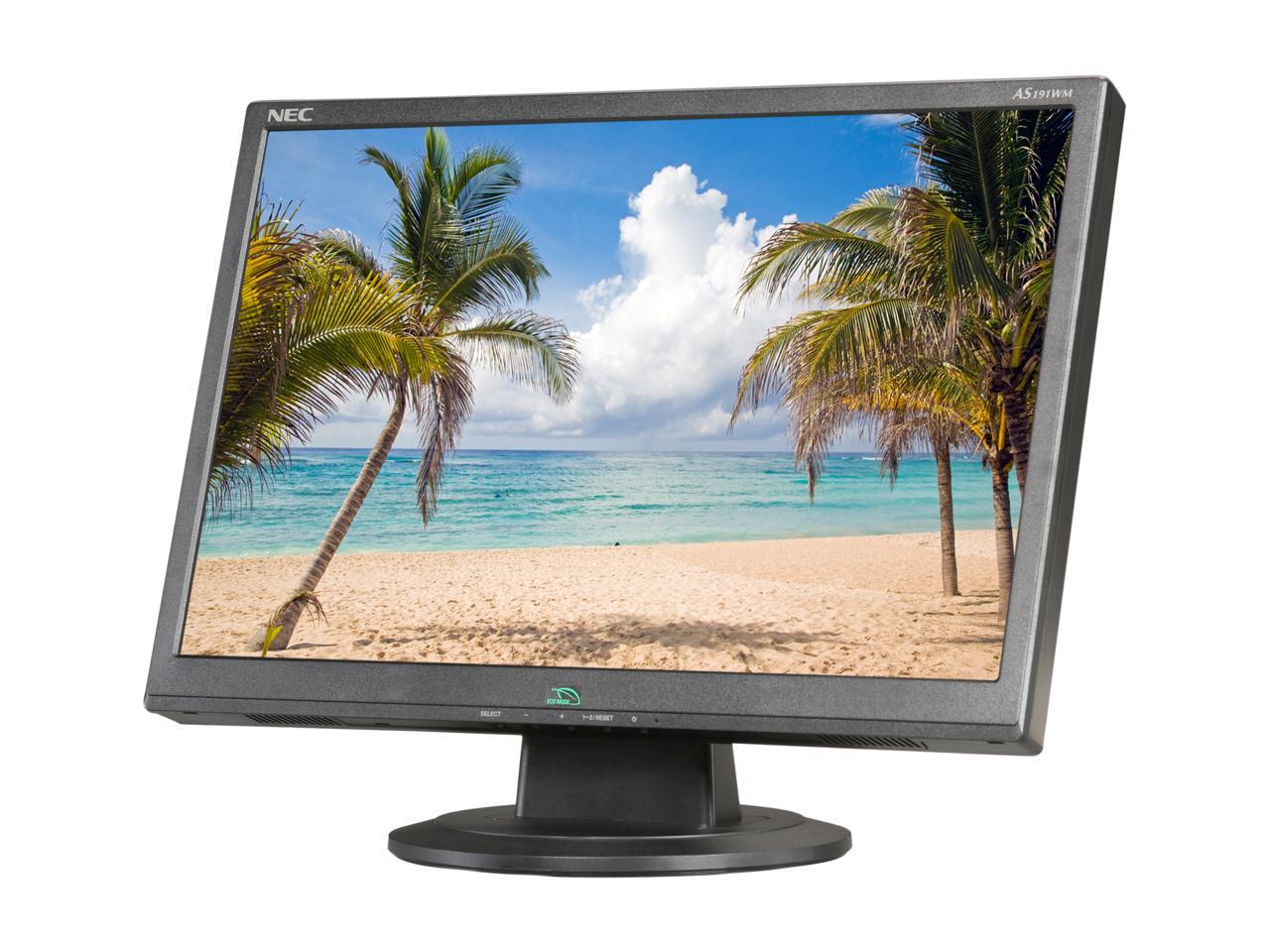 NEC Display Solutions 19" WXGA+ LCD Monitor 5 ms 1440 x 900 D-Sub, DVI ...