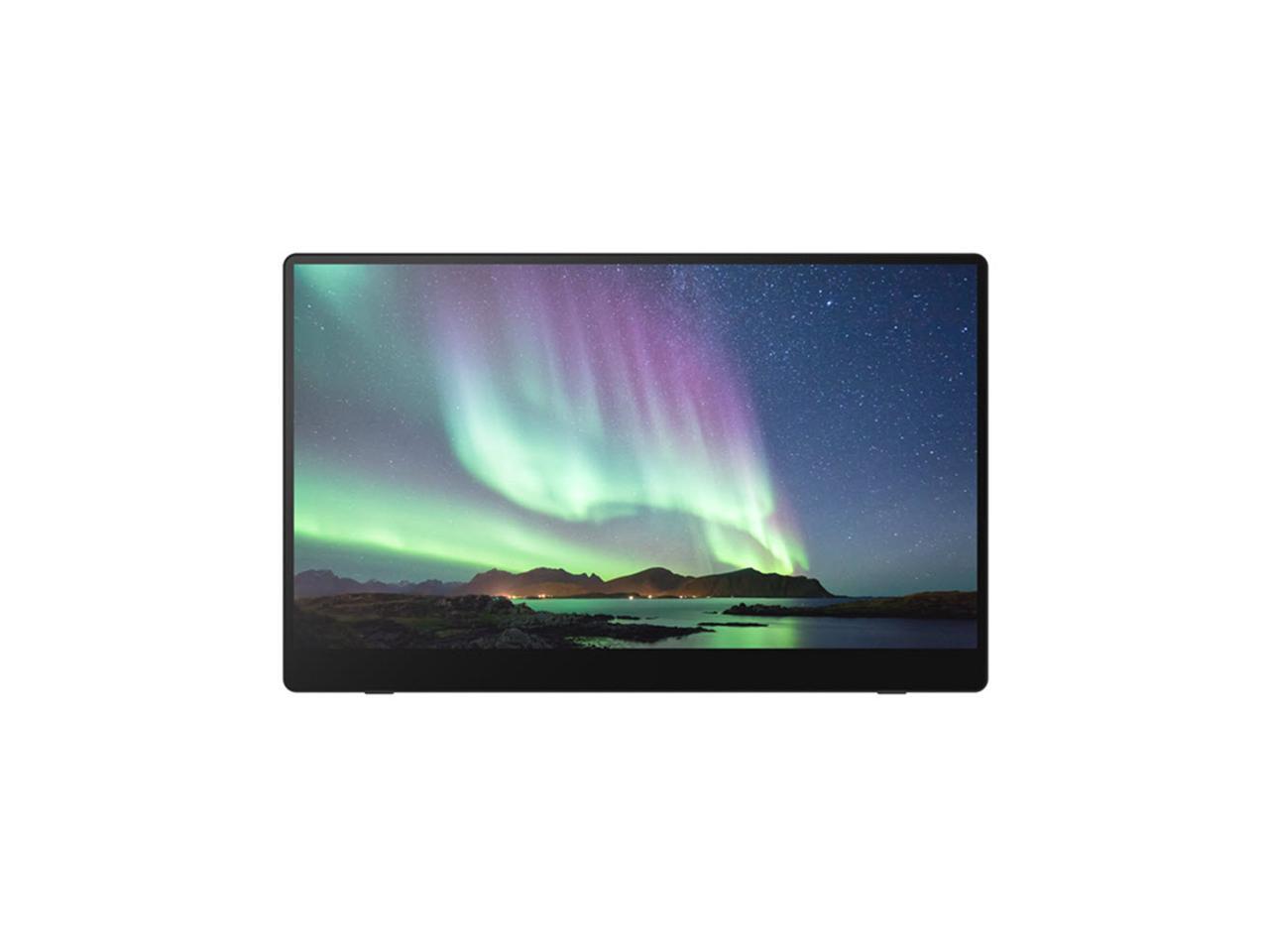 Ricoh 15.6" Portable Monitor 150 Wired - 1920 x 1080 - OLED Display ...