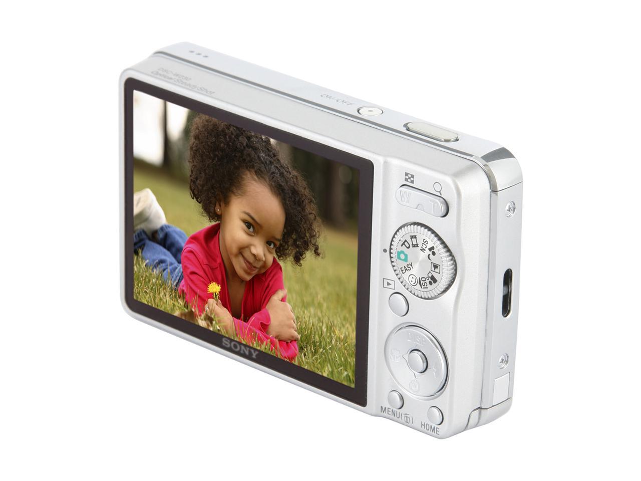 SONY Cyber-shot DSC-W230 Silver 12.1 MP Digital Camera - Newegg.com