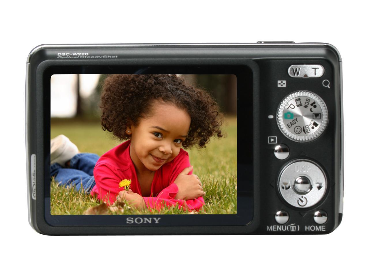 SONY Cyber-shot DSC-W220 Black 12.1 MP Digital Camera - Newegg.com