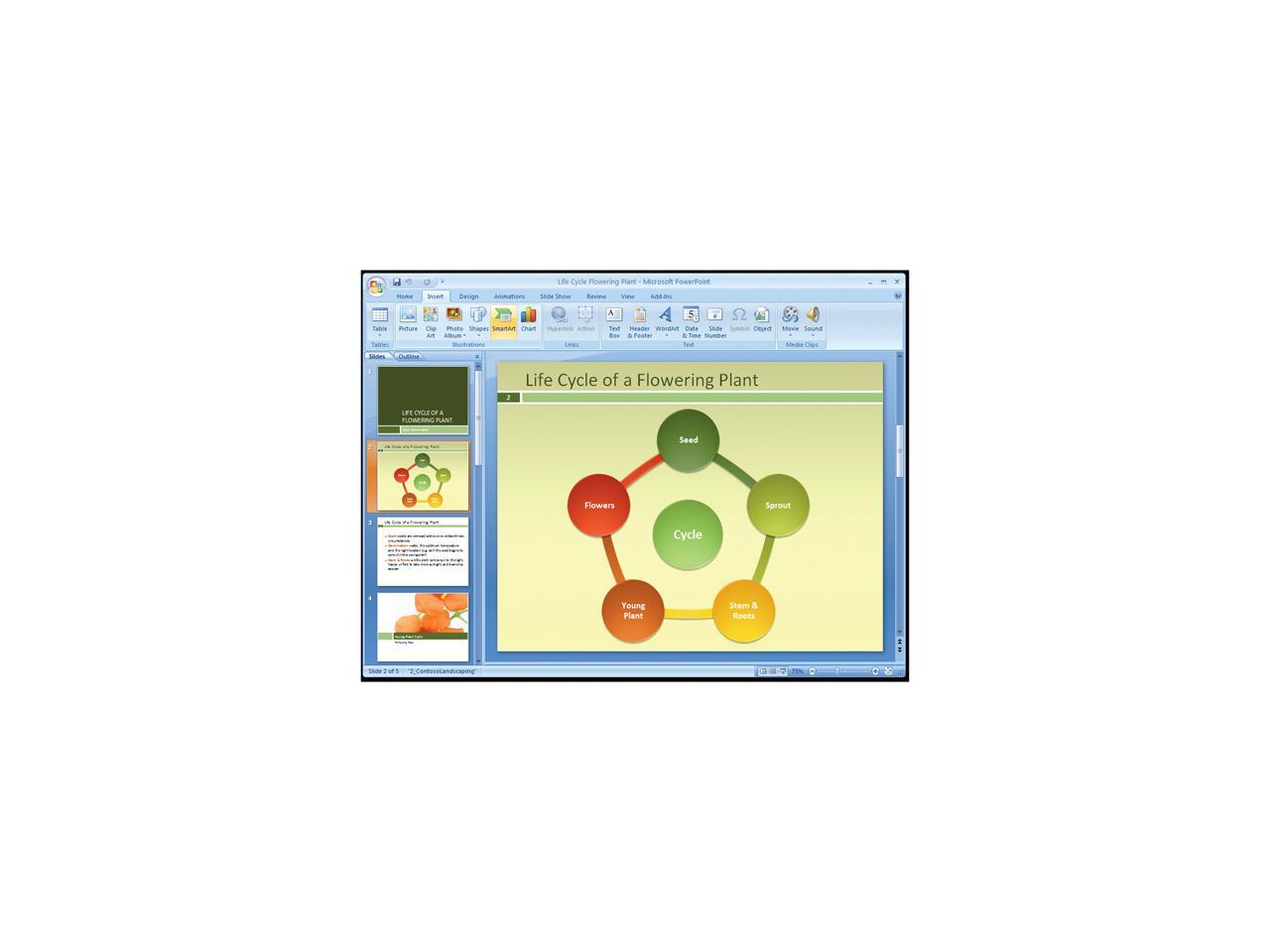 Microsoft Office Small Business 2007 - Newegg.com