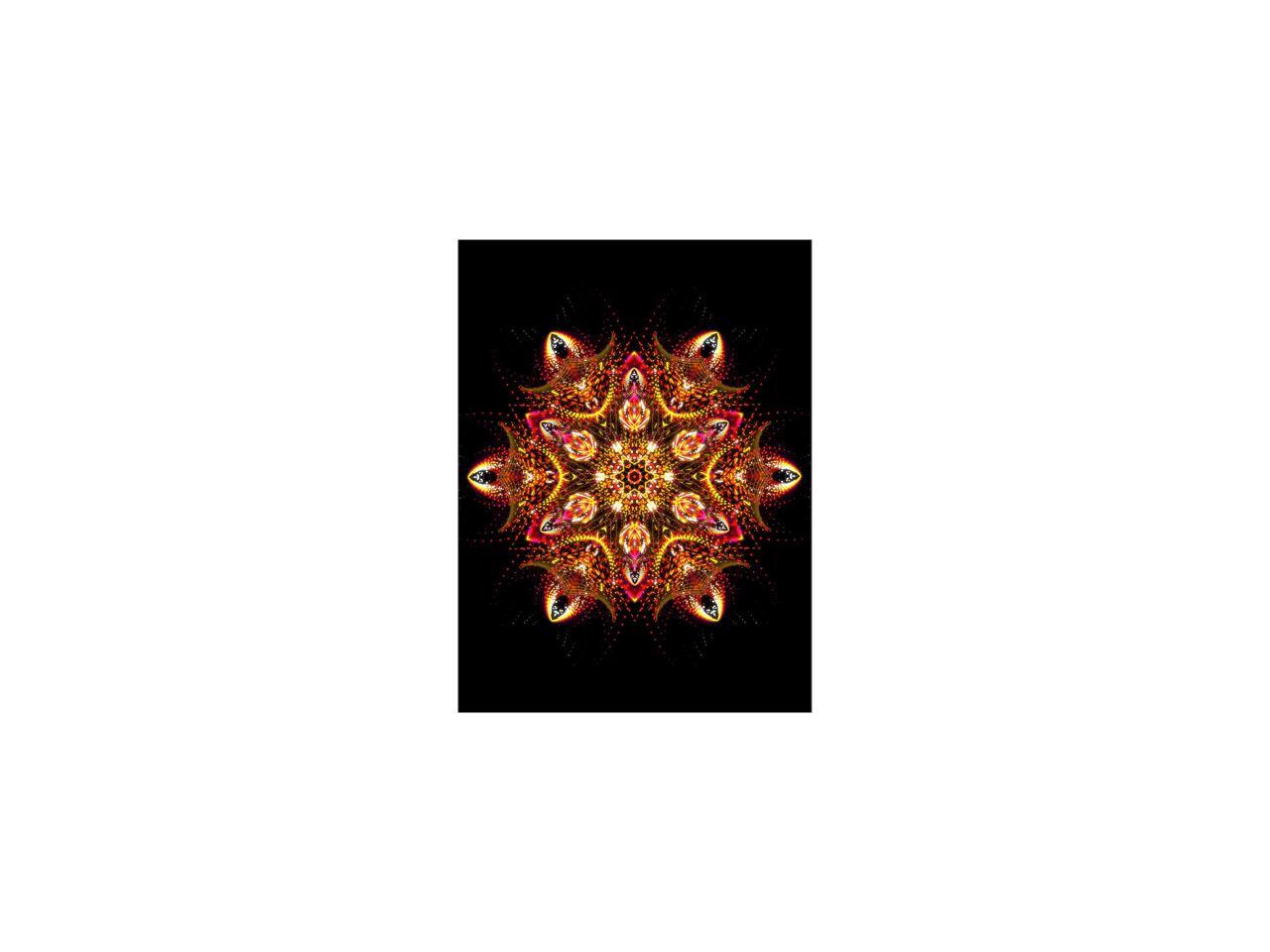 Escape Motions Inspirit Windows/Mac - download - Newegg.com