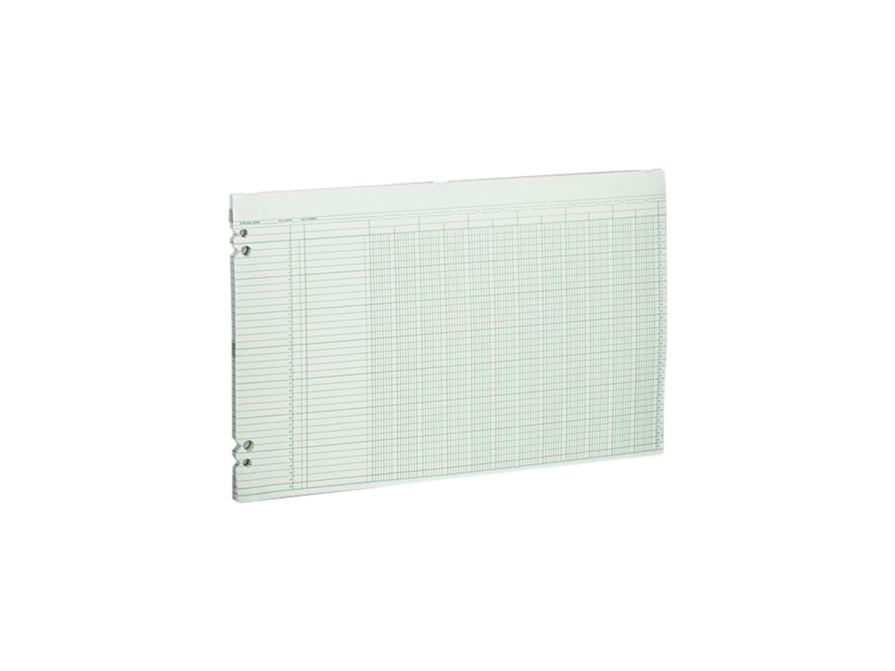 Wilson Jones G50-12 Accounting Sheets, 12 Columns, 11 x 17, 100 Loose ...