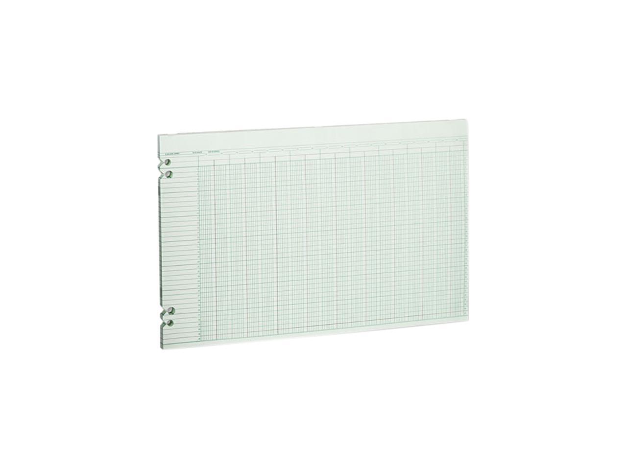 Wilson Jones G50-30 Accounting Sheets, 30 Columns, 11 x 17, 100 Loose ...