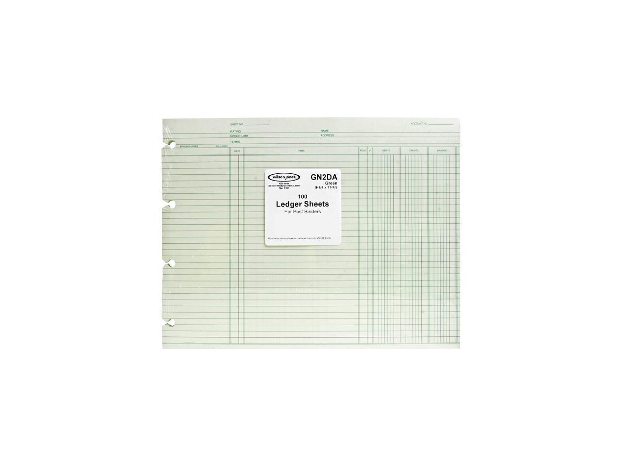 Wilson Jones WGN2DA Accounting, 9.25" x 11.88", 100 Loose Sheets/Pack ...