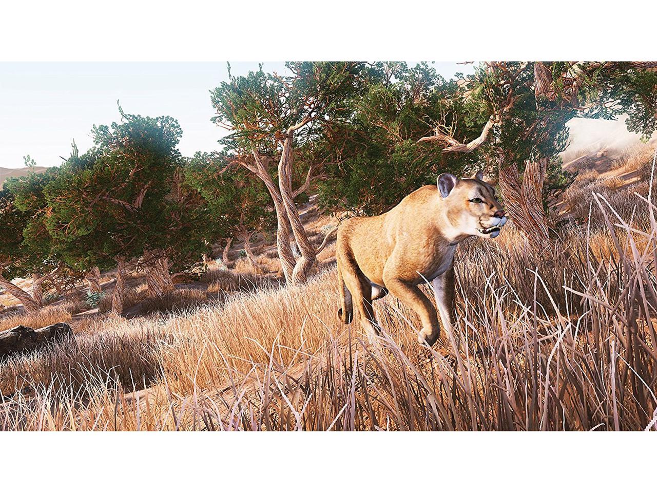 Hunting Simulator - Nintendo Switch - Newegg.com