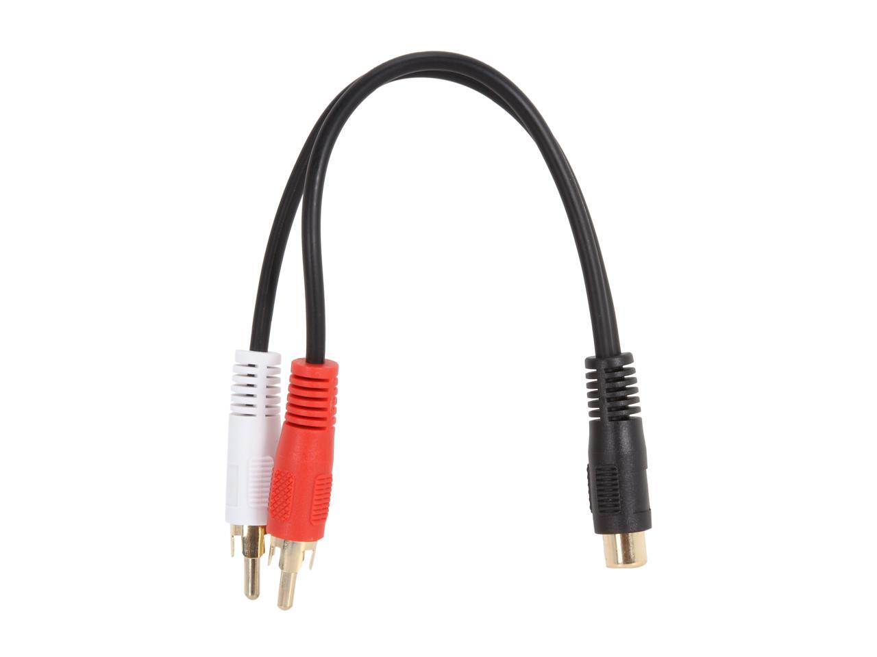 C2G 03181 Value Series One RCA Female to Two RCA Male Y-Cable, Black (6 ...