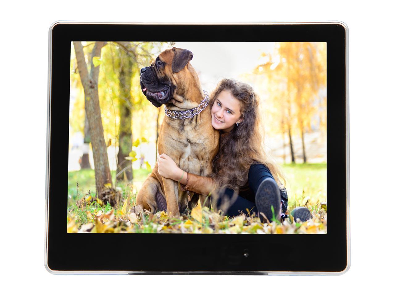 ViewSonic VFM820-50 8" 800 x 600 Digital Photo Frame - Newegg.com