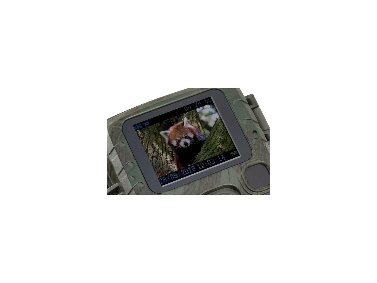 Technaxx Mini Nature Wild Cam TX-117 - Newegg.com