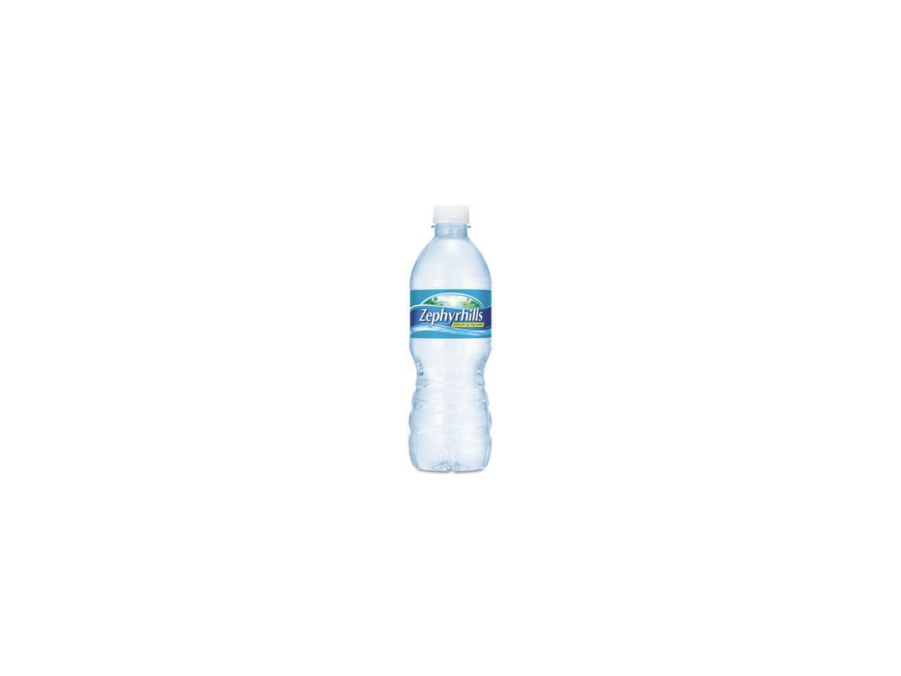 Nestle 101243 Premium Spring Bottled Water 16.91 fl oz - Ready-server ...