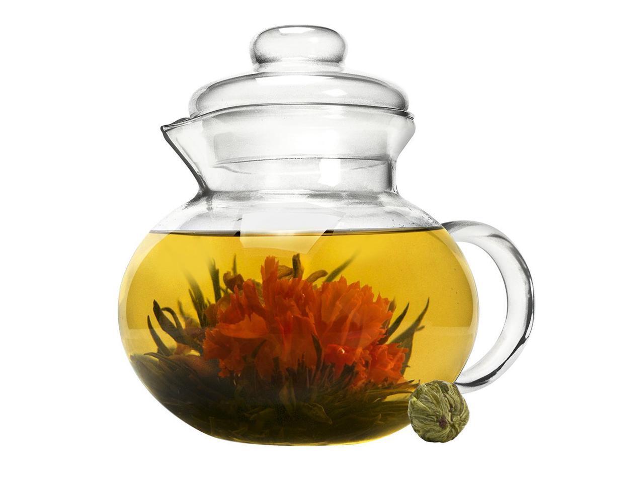 Primula PTA3940 Handblown Glass Tea Pot with Loose Tea Infuser - Newegg.com