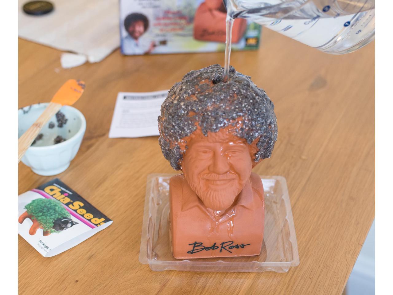 Chia Pet Planter - Bob Ross - Newegg.com