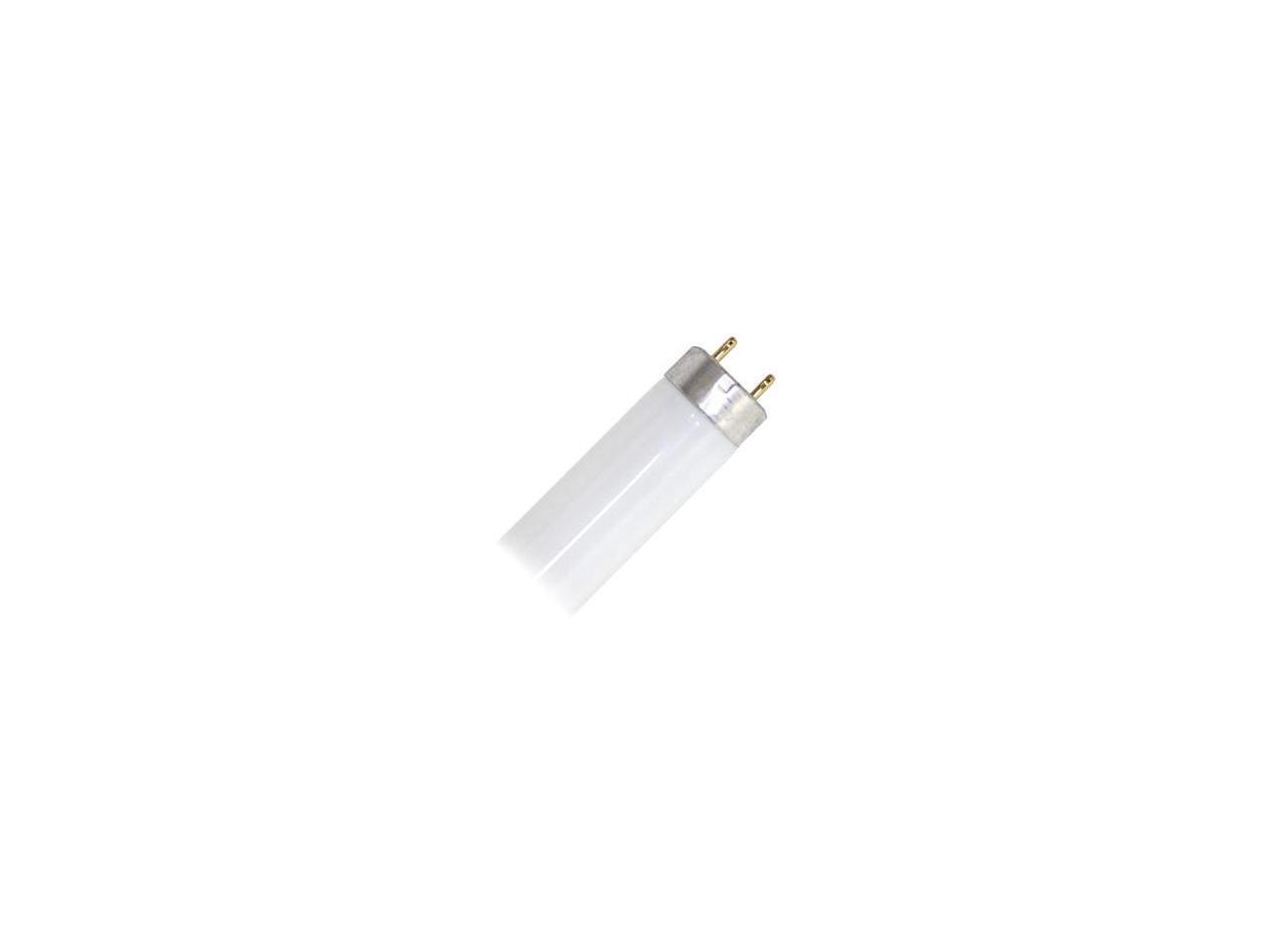 GE 26667 - F32T8/SP35/ECO Straight T8 Fluorescent Tube Light Bulb ...