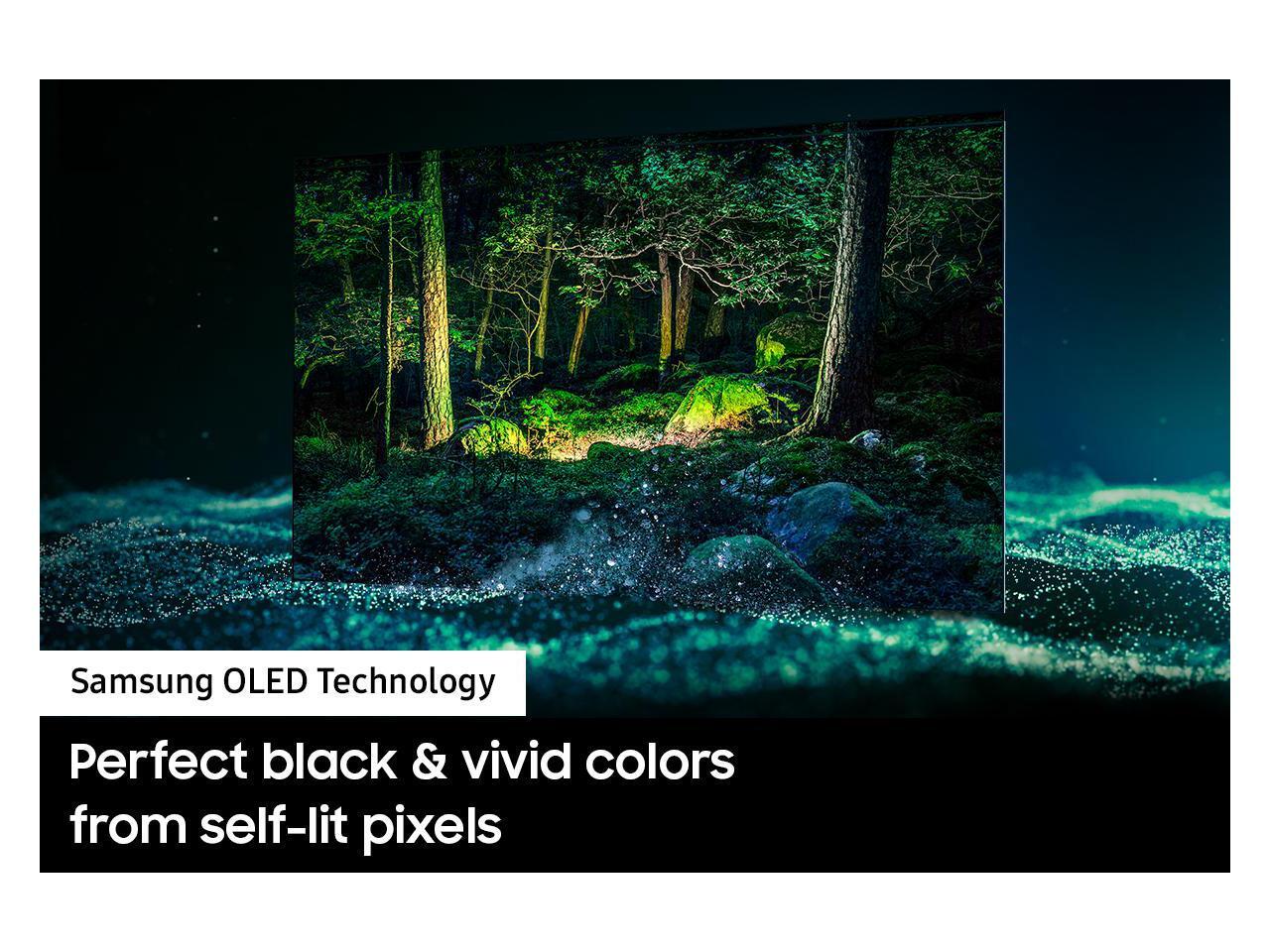 SAMSUNG 55-Inch Class OLED 4K S95B Series - Quantum HDR OLED Self ...