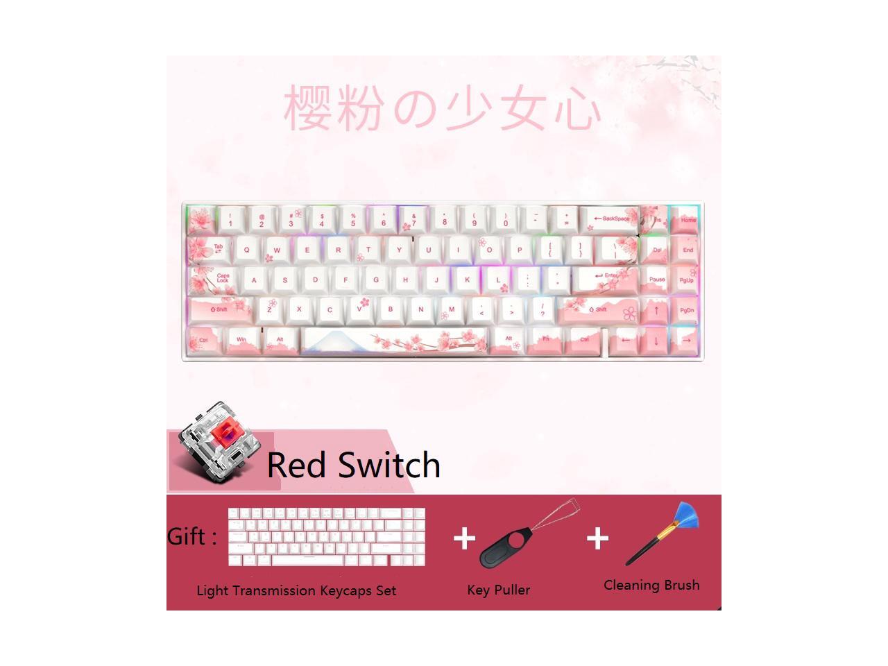 RK71 Mechanical Keyboard RGB Backlit 71 Keys Small Compact Gaming ...