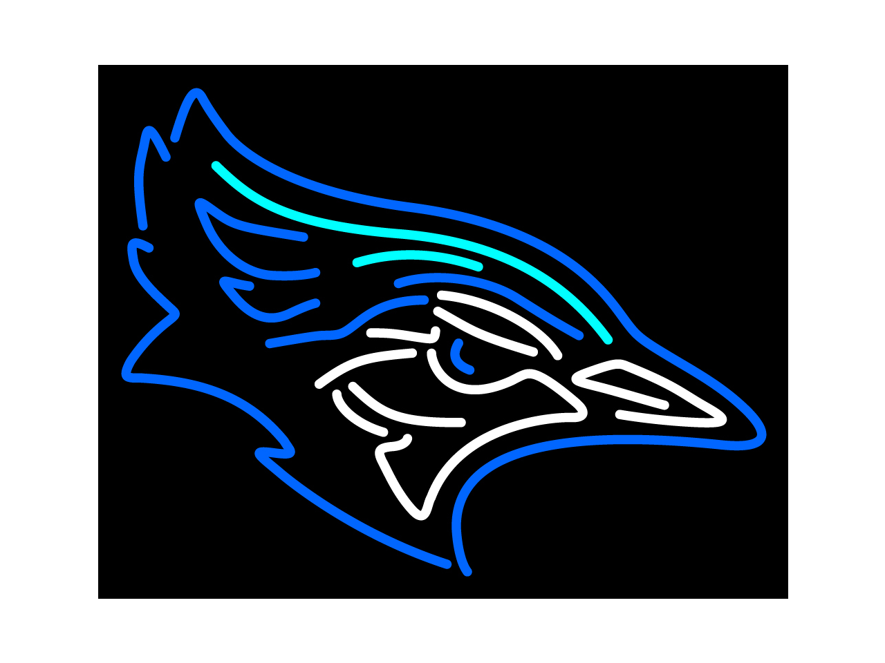 Fashion Neon Sign Creighton Bluejays Handcrafted Real Glass Lamp Neon ...