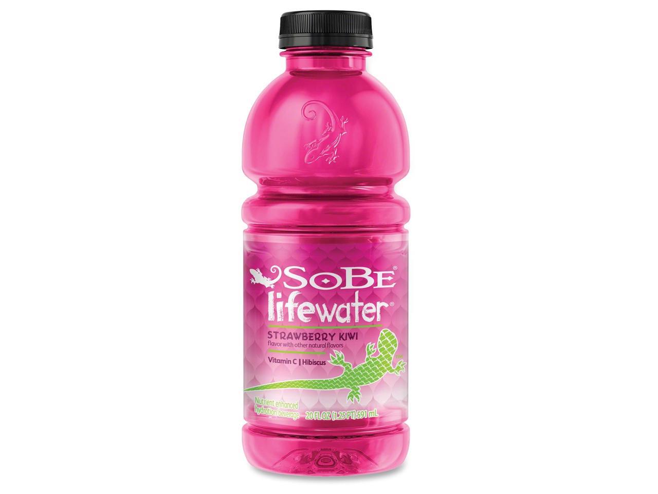 Pepsico SoBe Lifewater Flavored Beverage Drink - Newegg.com