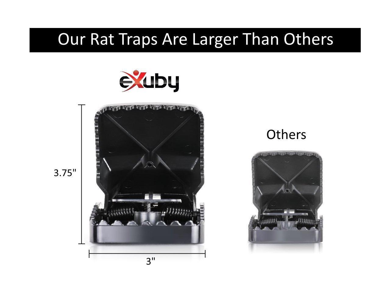 Large Powerful Rat Traps (6 Pack) - Kills Instantly with Powerful Steel ...