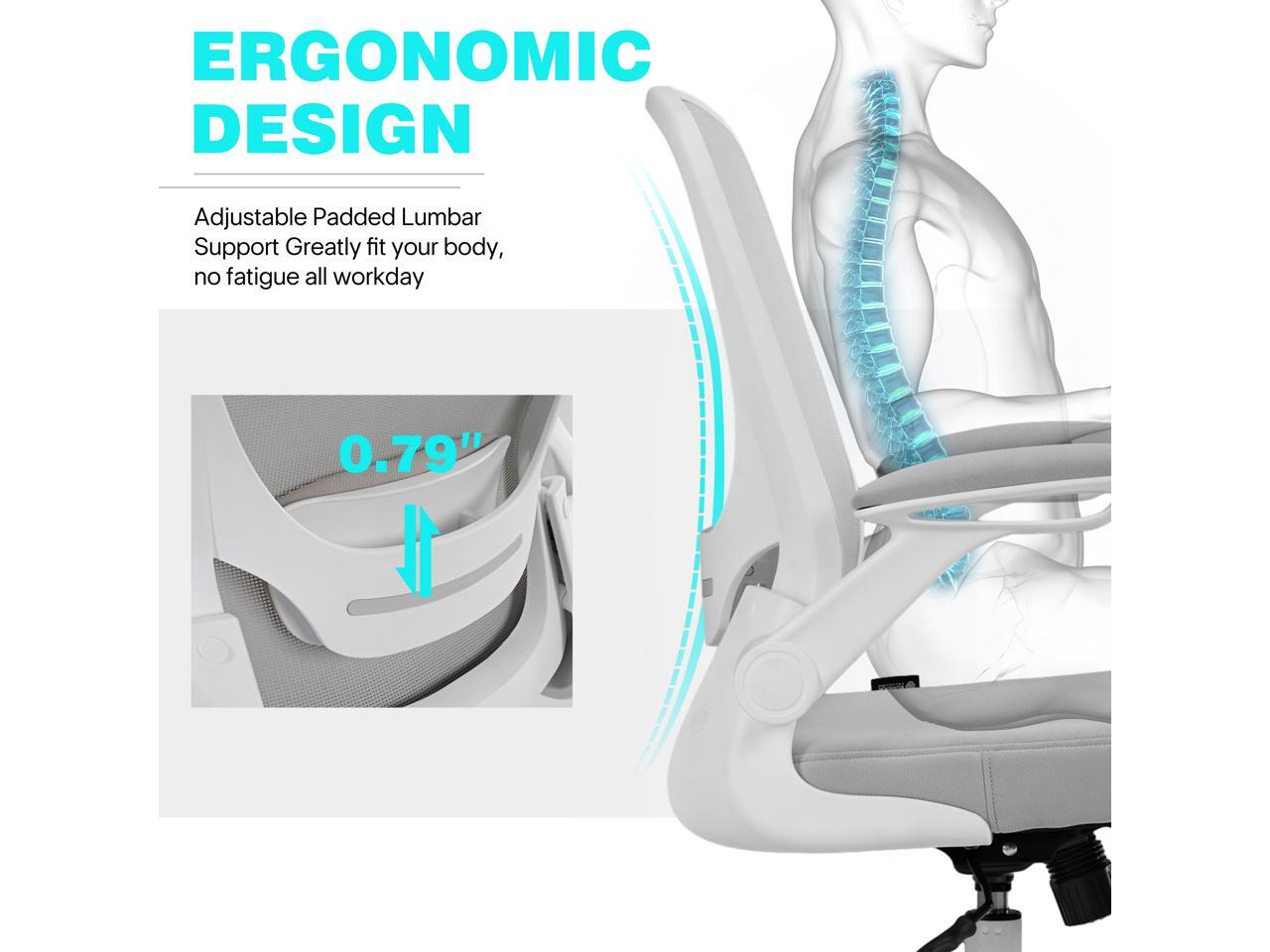 Eureka Ergonomic Office Chair, Mesh Ergonomic Desk Chair with ...