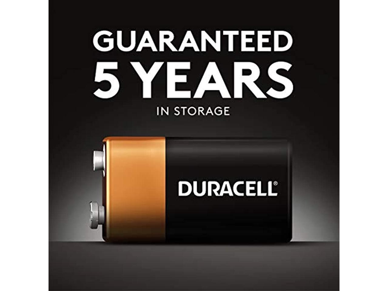 Duracell N Alkaline Batteries 2/Pack (MN9100B2PK) 275974 - Newegg.com