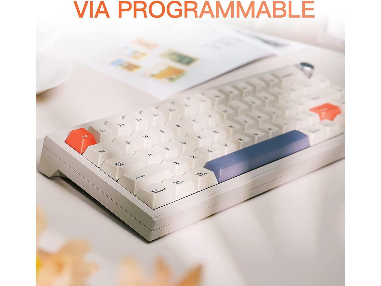 EPOMAKER CIDOO V65 V2 Wireless/Wired Mechanical Keyboard, 65% Hot ...