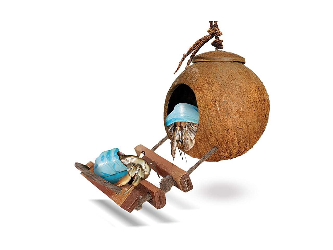 Hermit Crab Coco Den with Ladder Nesting Home Hide Mini Condo for ...