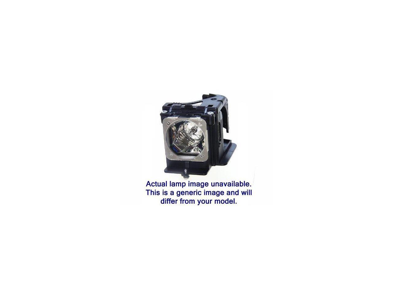 Optoma BL-FU310B 310W Lamp for Select Optoma Projectors. - Newegg.com