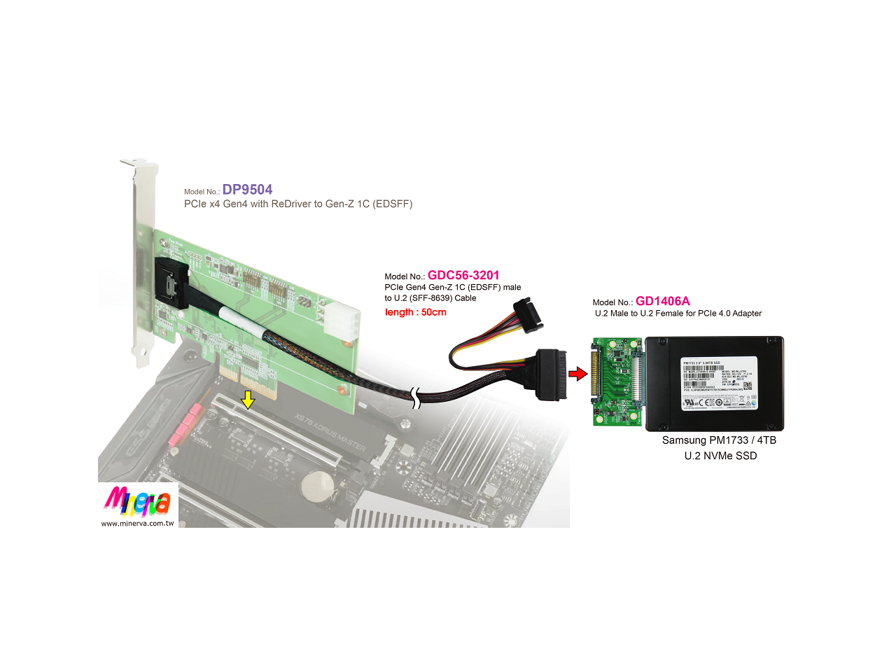 PCIe 4.0 Gen-Z 1C (EDSFF) to U.2 Cable, 50cm & U.2 (SFF-8639) Male PCIe ...
