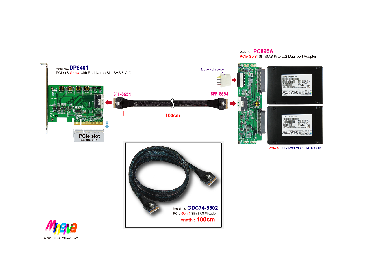 PCIe x8 Gen 4 with ReDriver to SlimSAS 8i Adapter & SlimSAS 8i cable ...