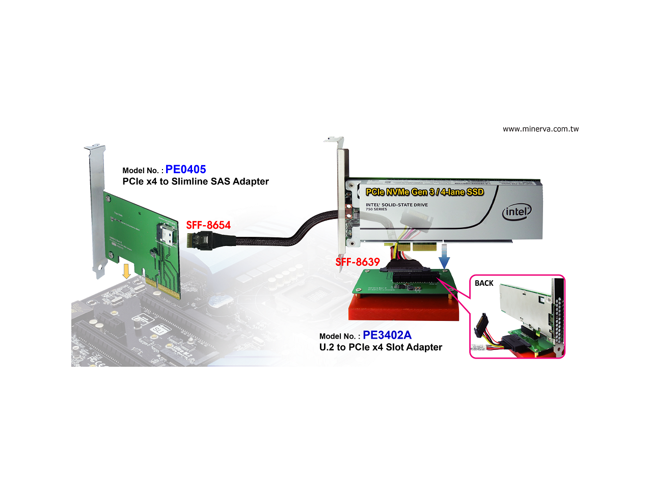 Innocard PCIe x4 to Slimline SAS Adapter & U.2 to Slimline SAS Cable ...