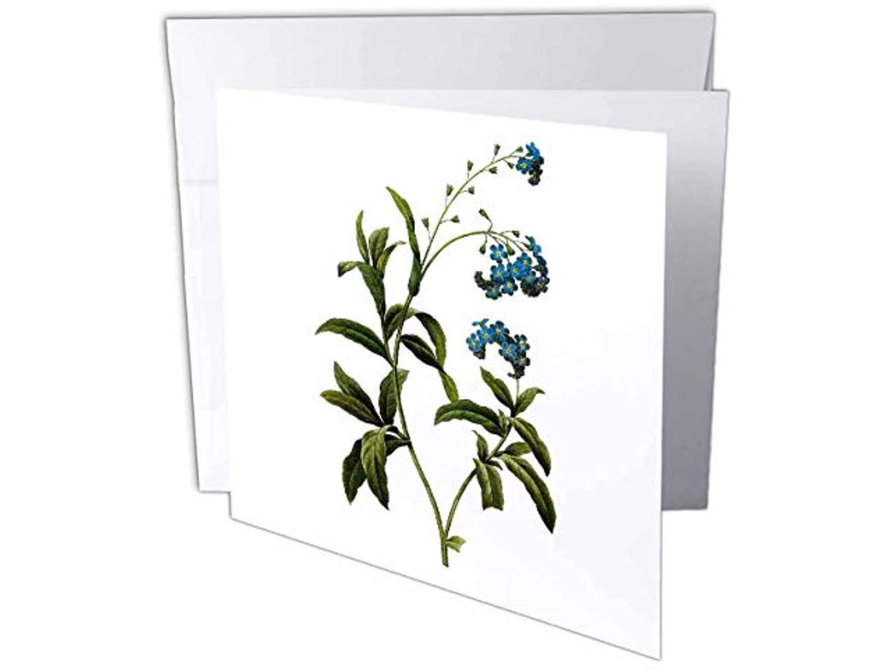 Paper & Party Supplies Greeting card card with envelope Double card ...