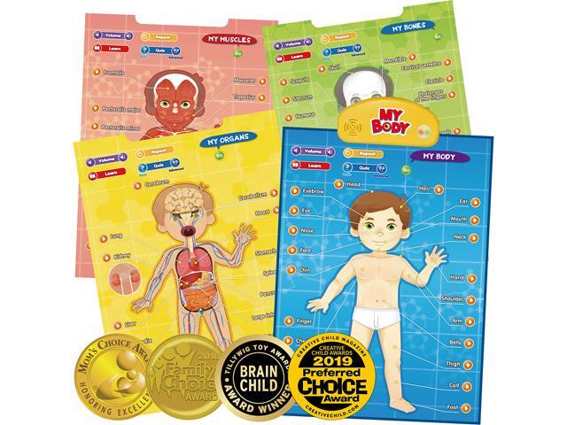 Click here for BEST LEARNING i-Poster My Body - Interactive Educa... prices