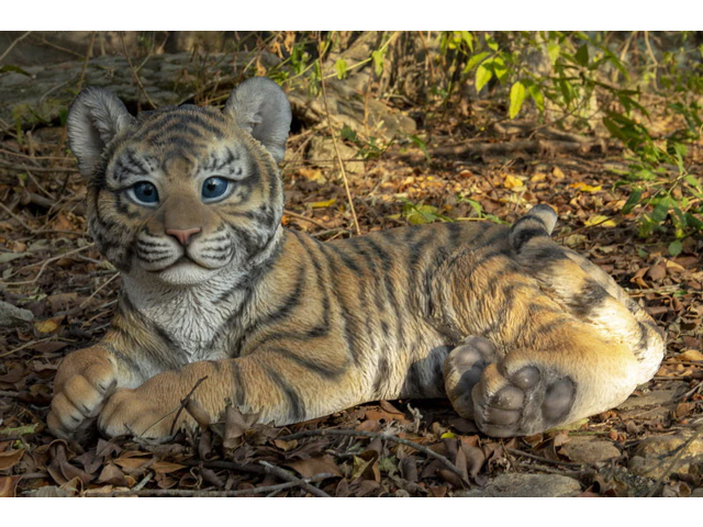 Click here for Hi-Line Gift Baby Yellow Tiger Cub Laying Down Sta... prices