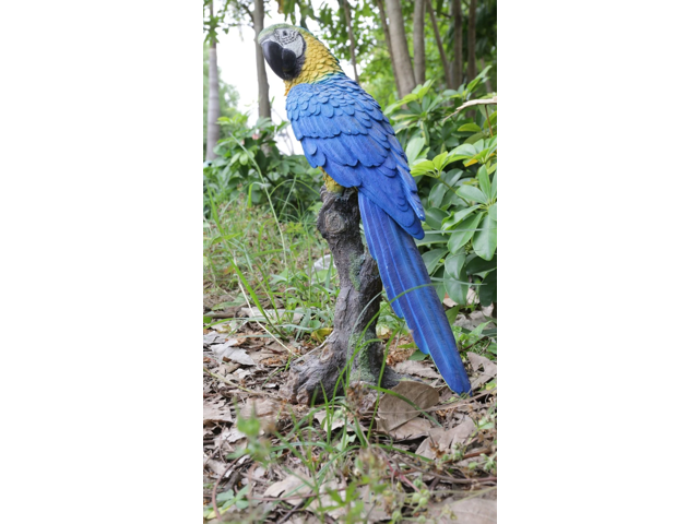 Click here for Hi-Line Gift Blue & Yellow Parrot On Branch Statue prices