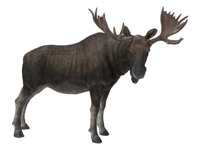 Click here for Hi-Line Gift Standing Moose Statue prices