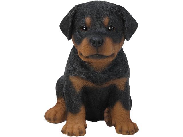 Click here for Hi-Line Gift Rottweiler Puppy prices