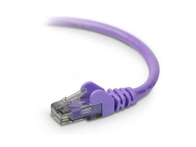 Click here for Belkin A3L980-25-PUR-S 25 ft. UTP Patch Cable prices