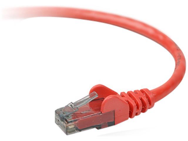 Click here for BELKIN 6 Network Ethernet Cable prices