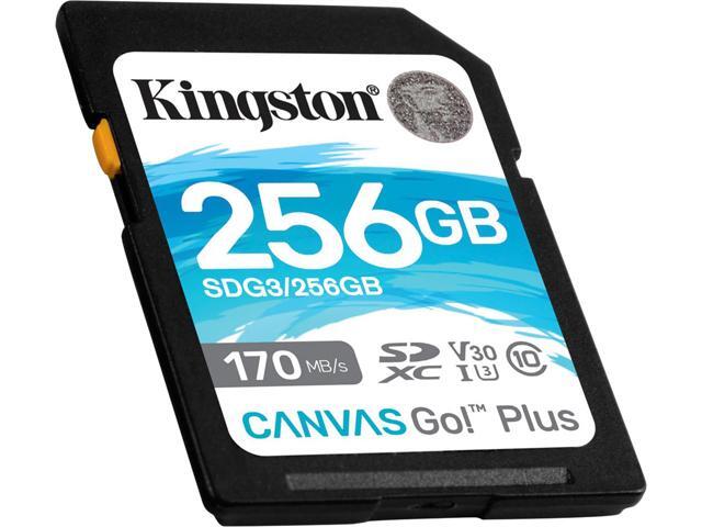 Click here for Kingston Canvas Go! Plus 256GB Secure Digital Exte... prices