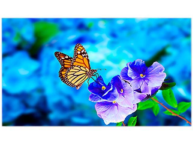 Click here for NEC UN552VS 55 Ultra Narrow Bezel Full HD Video Wa... prices