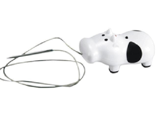 Click here for Kitchen Gadget prices