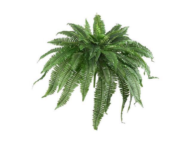 Click here for Nearly Natural Home Decor 48 Boston Fern - Set Of... prices